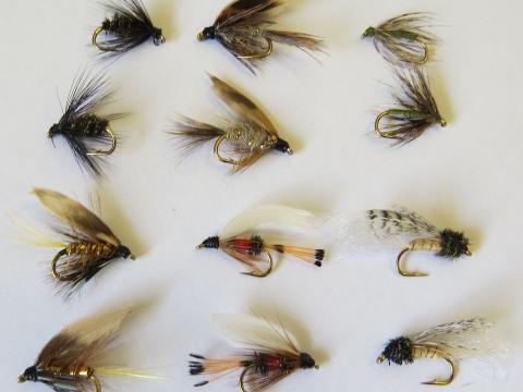 Trout Fly Store | Feathergirl