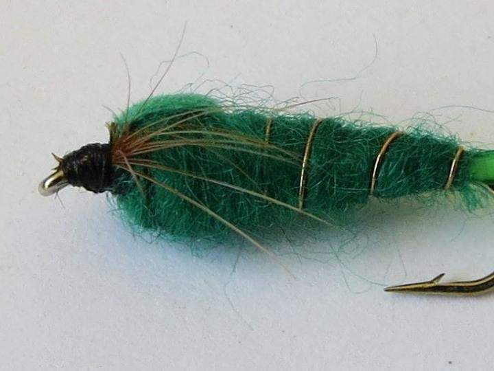 Green Stonefly Nymph - Feathergirl