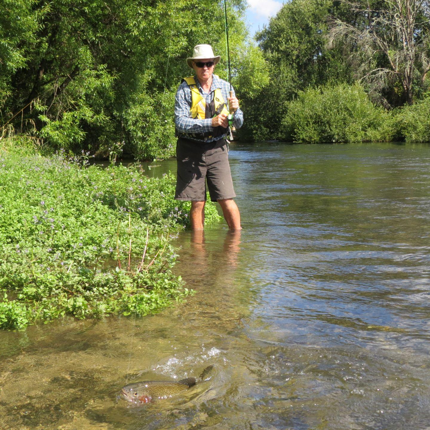 Larry Catches His First 21 Trout on Cicada Dry Flies! | Fly Fishing ...