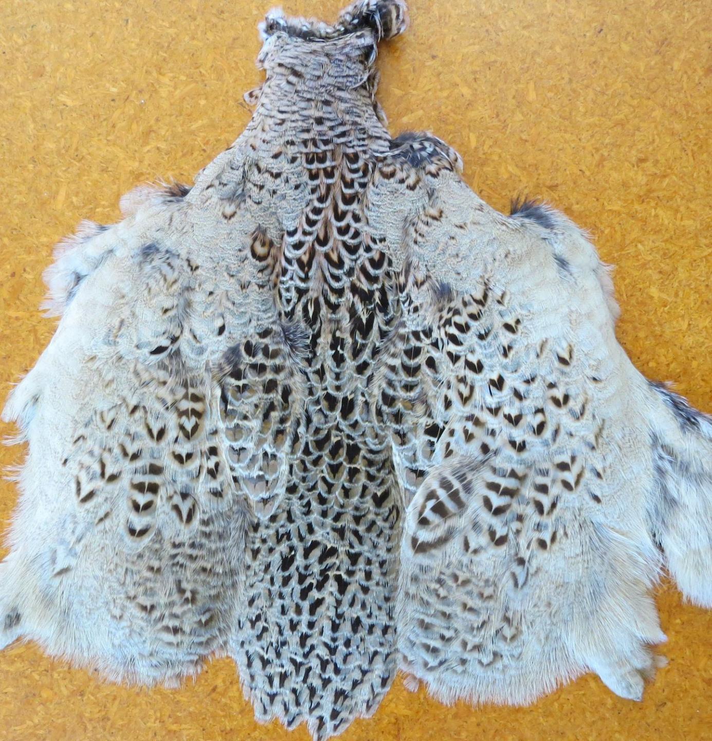 Hen Pheasant Pelt - Feathergirl