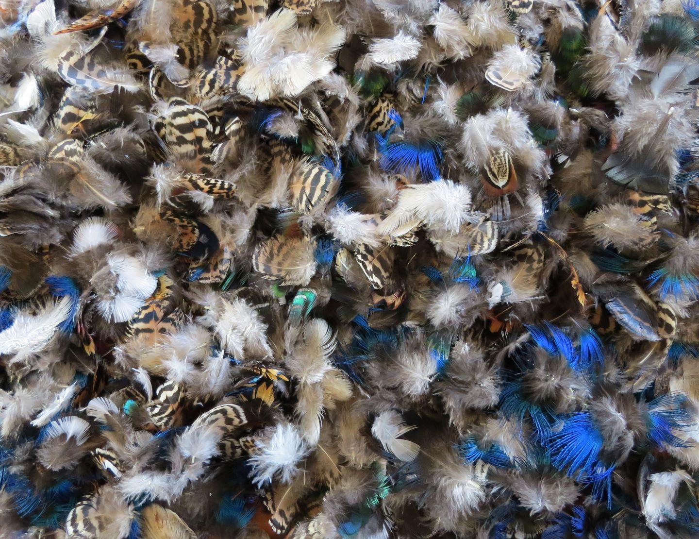 Mixed Small Feathers - Feathergirl