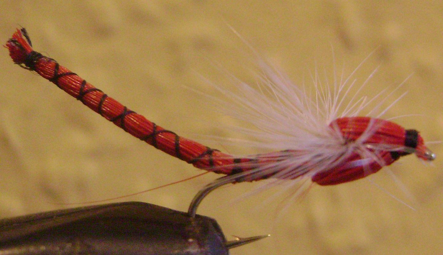 Red Damsel Dry Fly - Feathergirl
