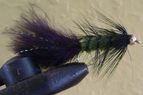 Woolly Buggers | Feathergirl