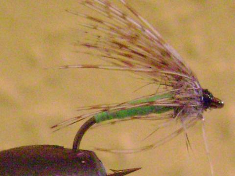 Wee Wet and Emerger Flies | Feathergirl