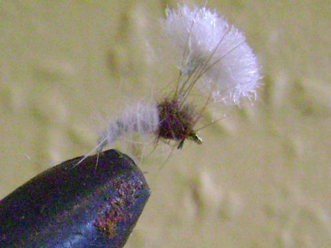Wee Wet and Emerger Flies | Feathergirl